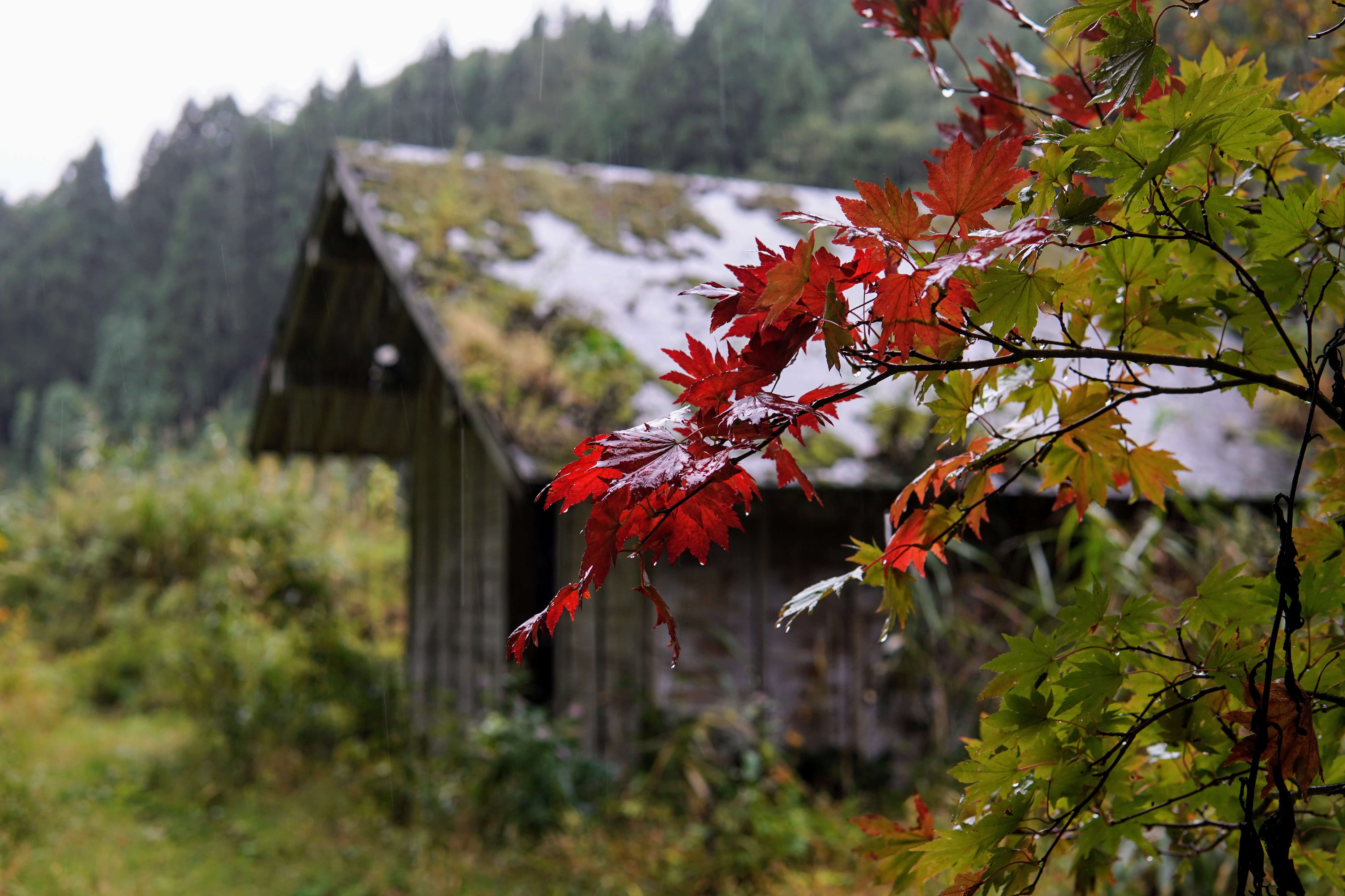 Tools in your Toolshed - Tim Bunting