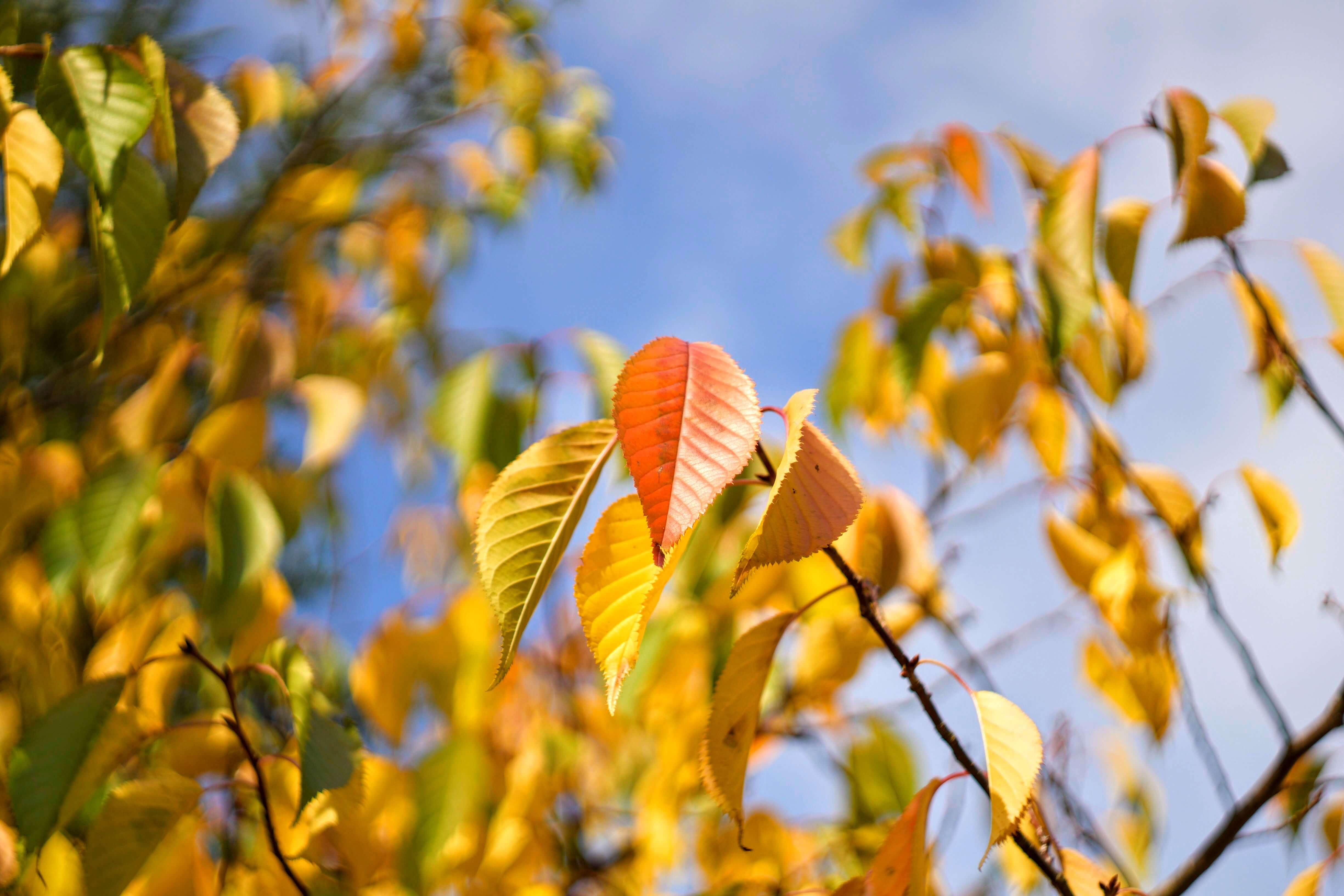 Set up the conditions for creativity - Tim Bunting