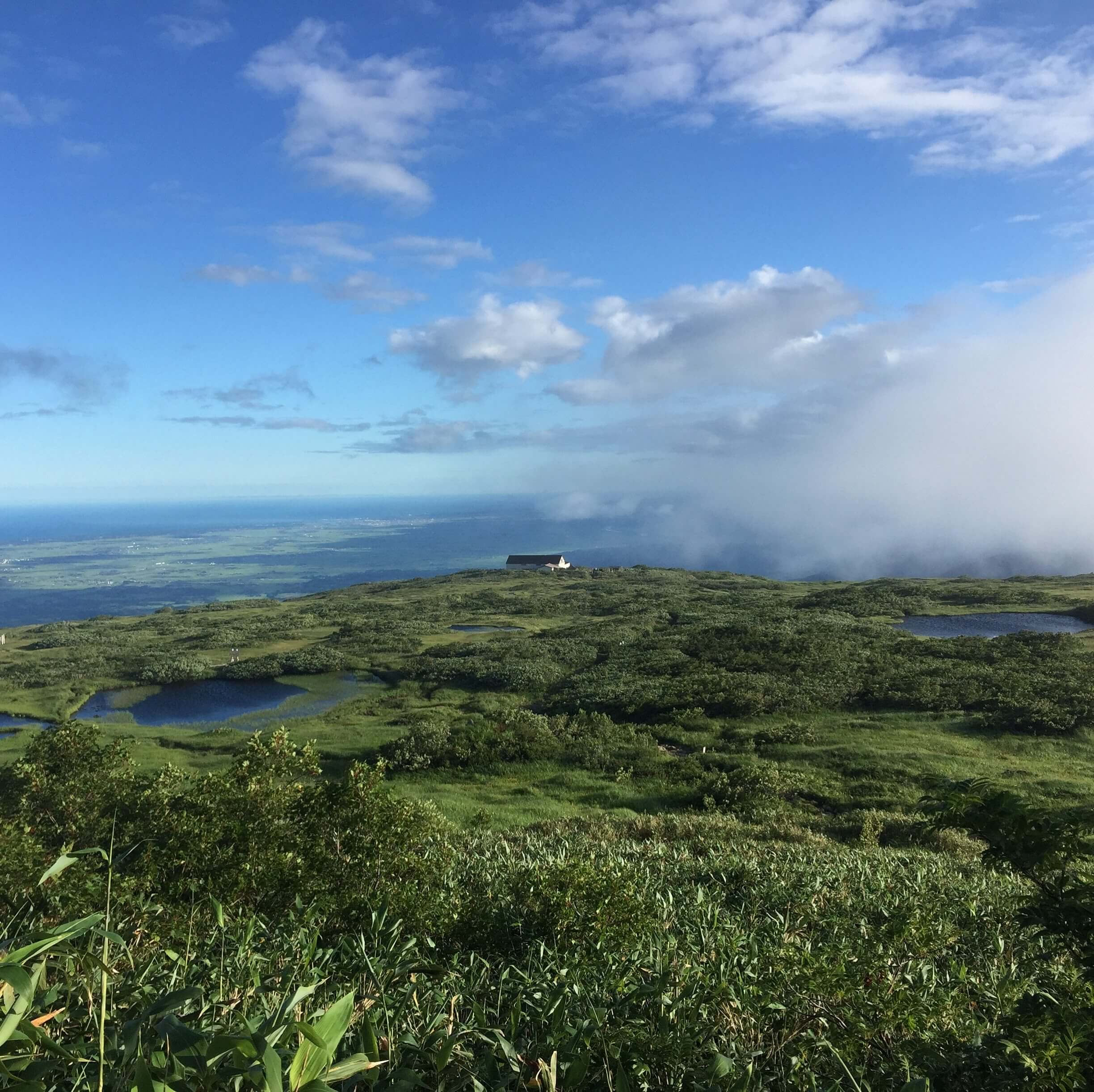 Mountains are - Tim Bunting