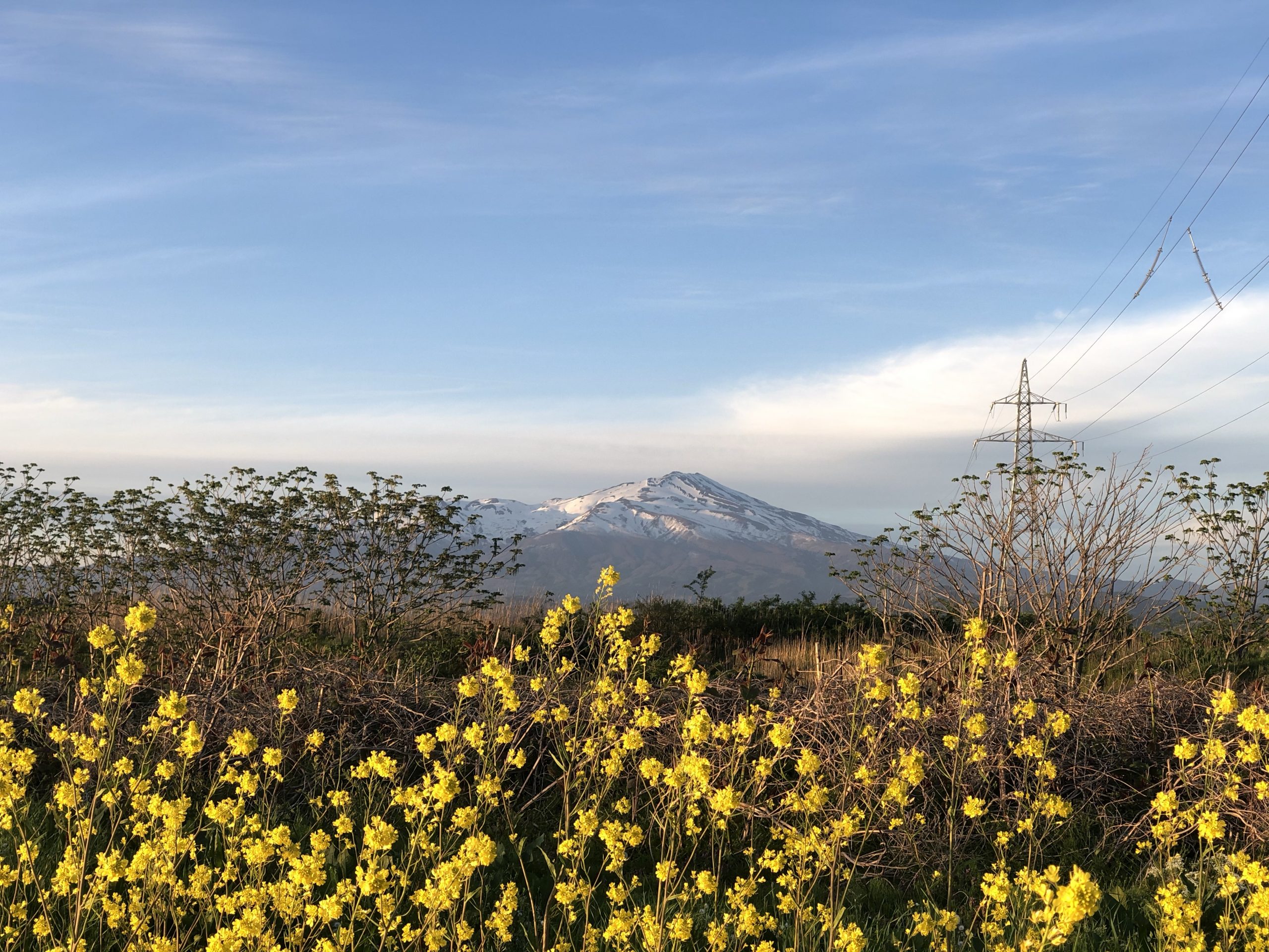 It’s how you think of it - Tim Bunting