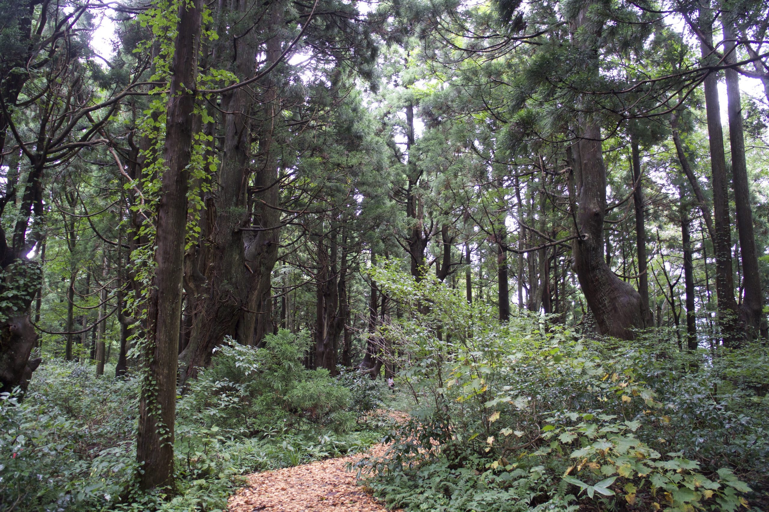 Take the leap - Tim Bunting