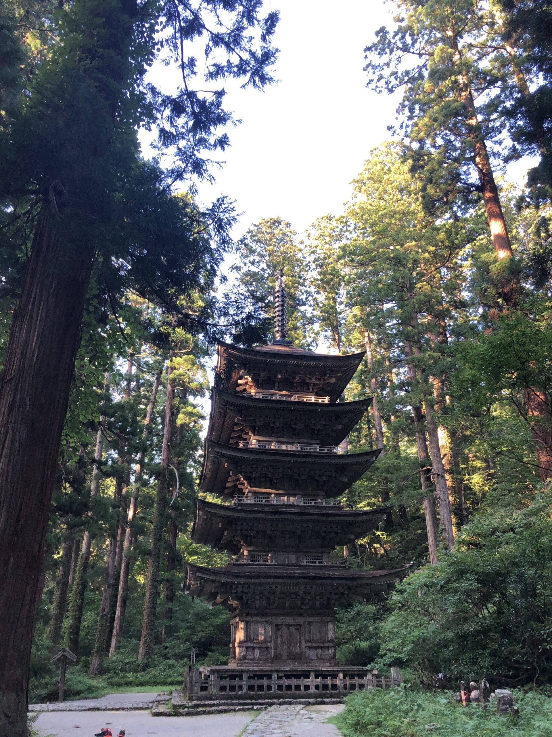 Making videos comes with experience - Tim Bunting