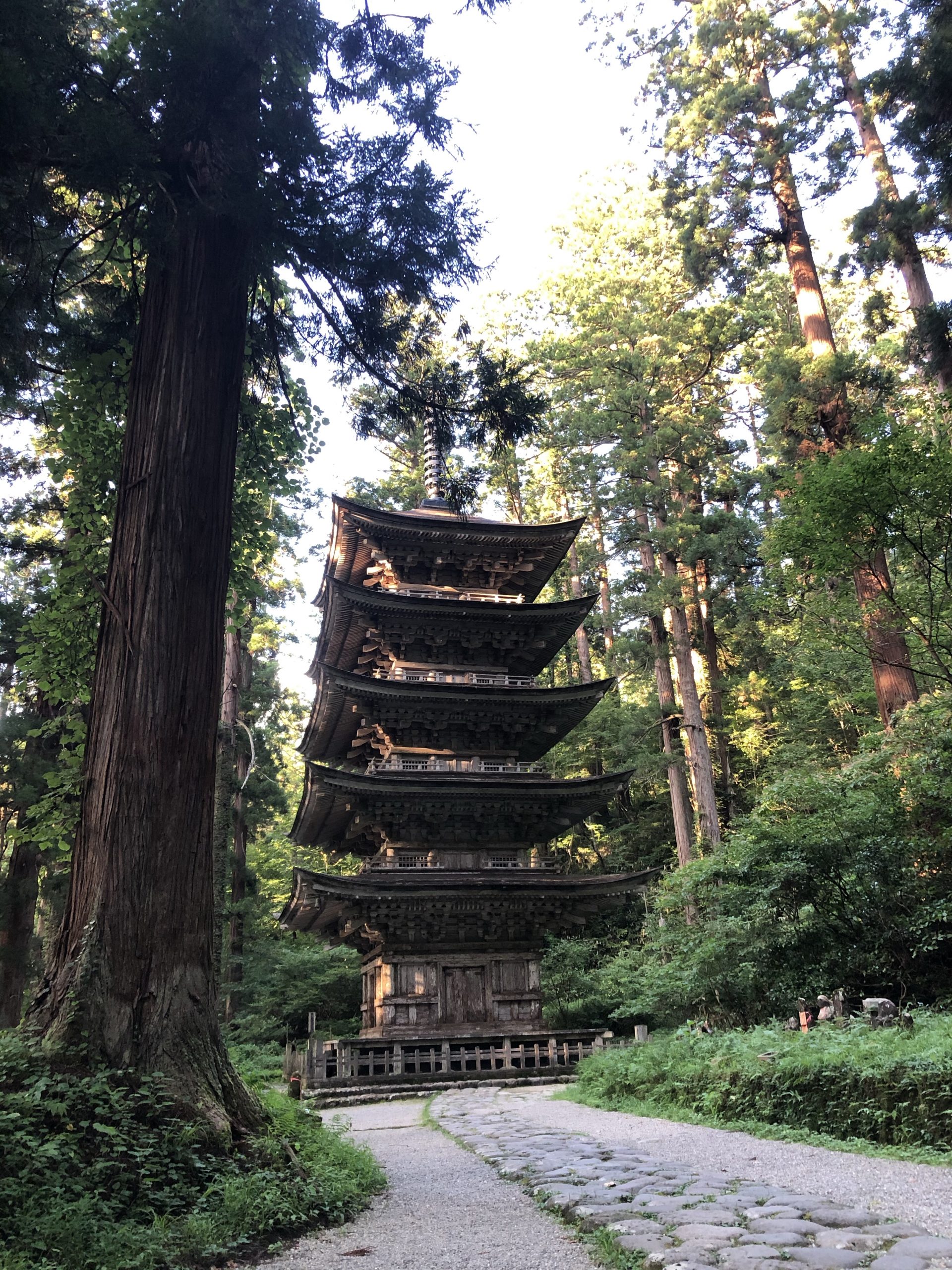 This is the way - Tim Bunting