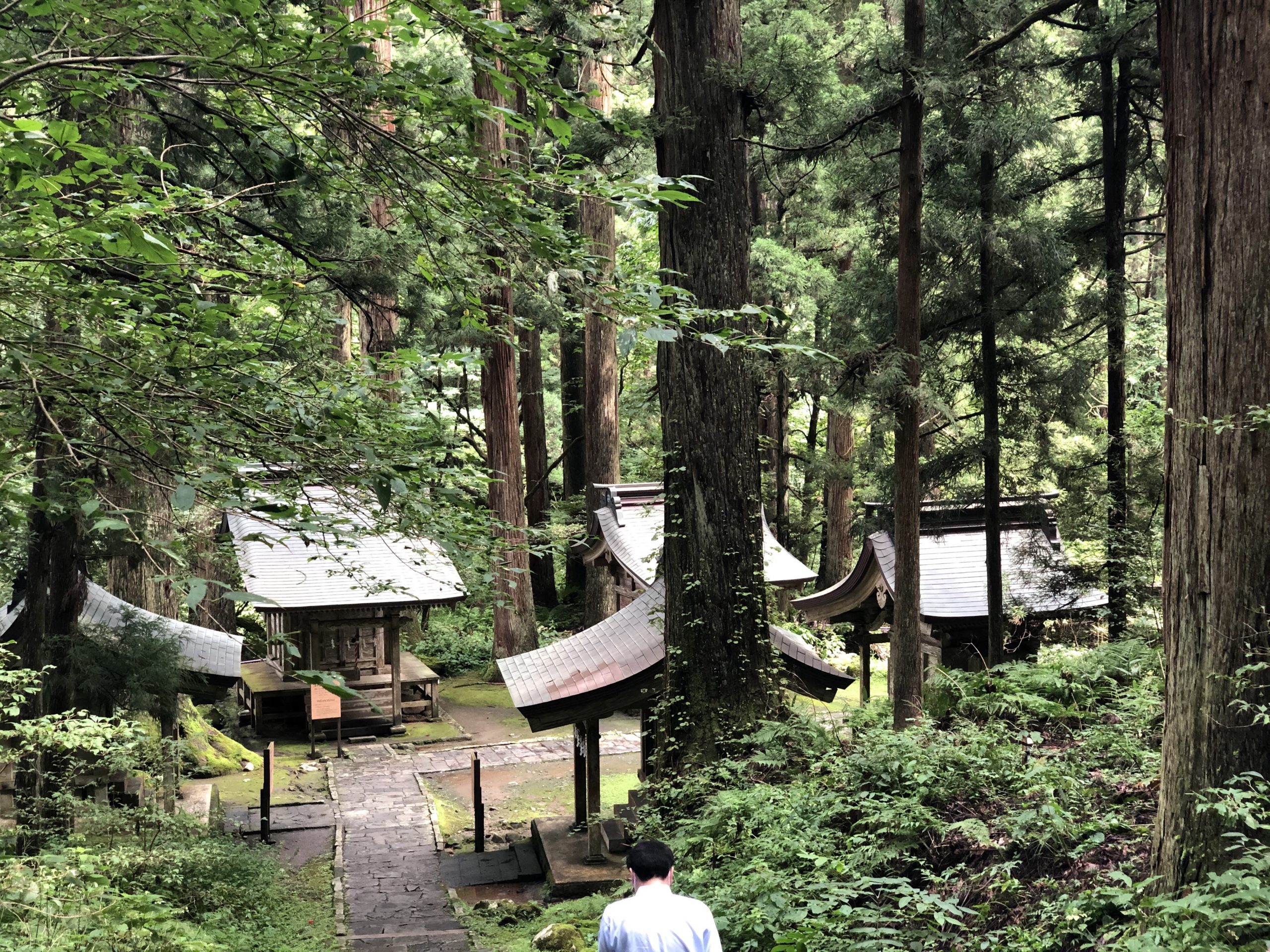 Distraction and the resistance - Tim Bunting