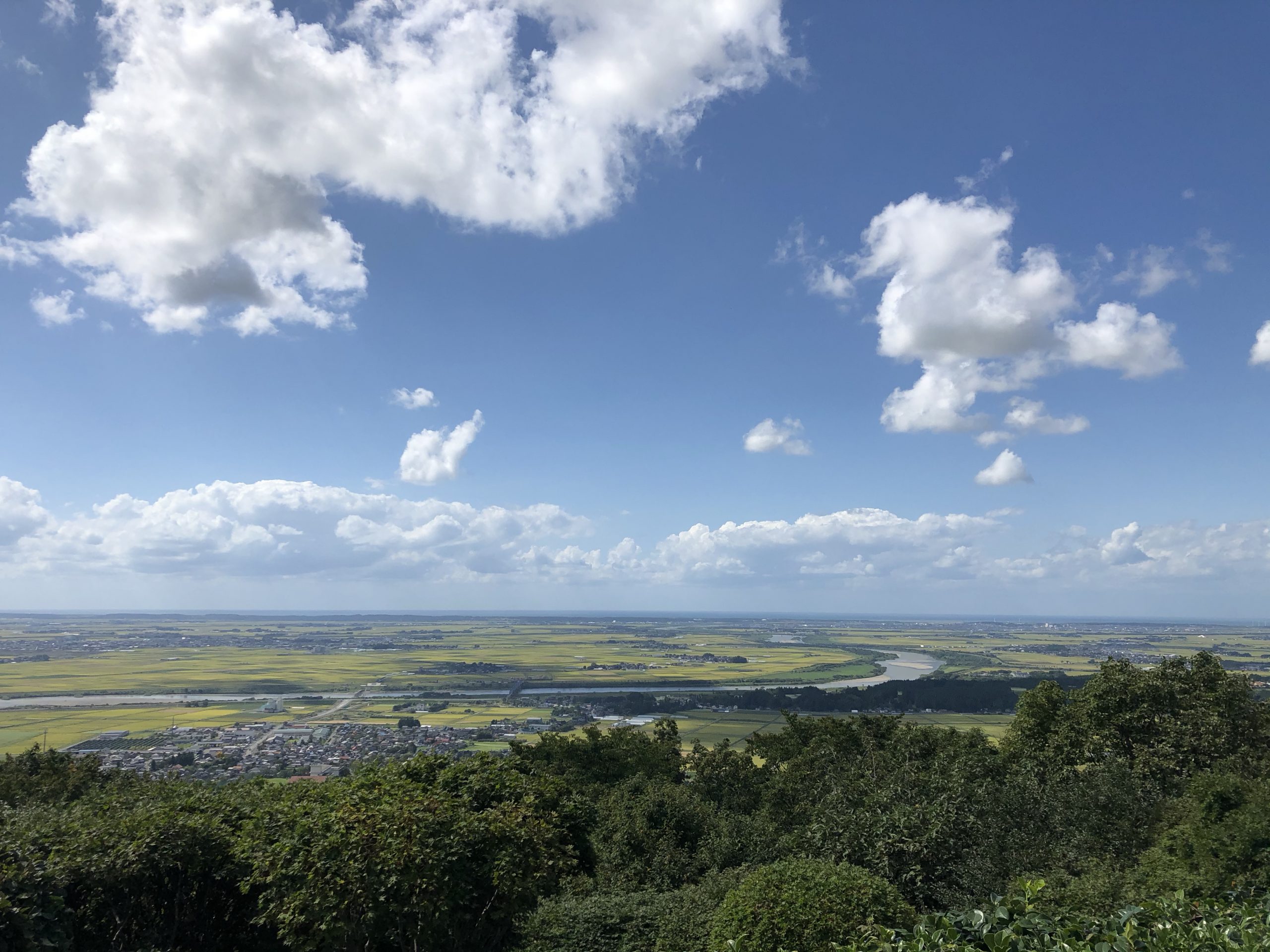 Investing and making videos - Tim Bunting