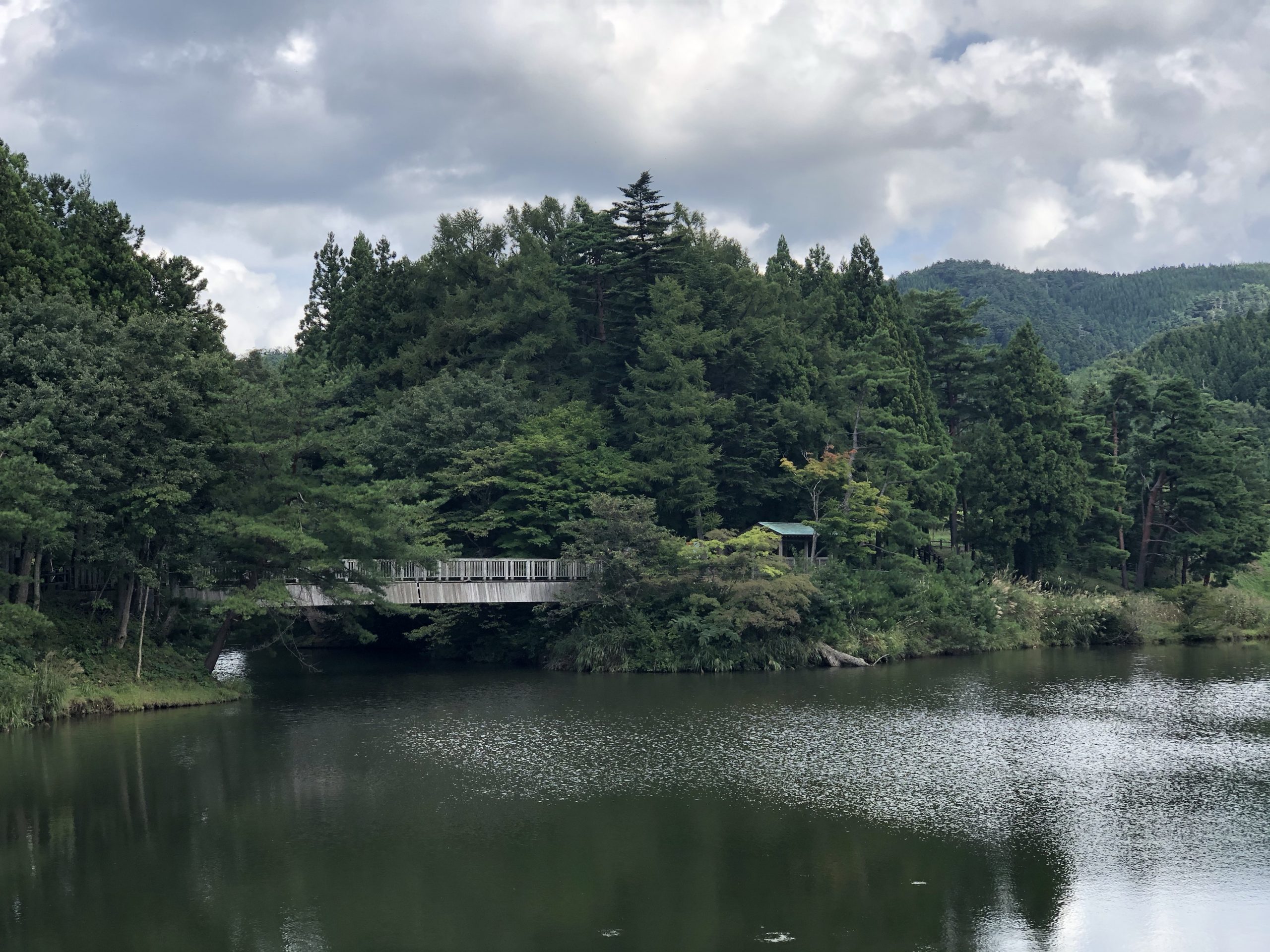 Get lost in your creative outlet - Tim Bunting