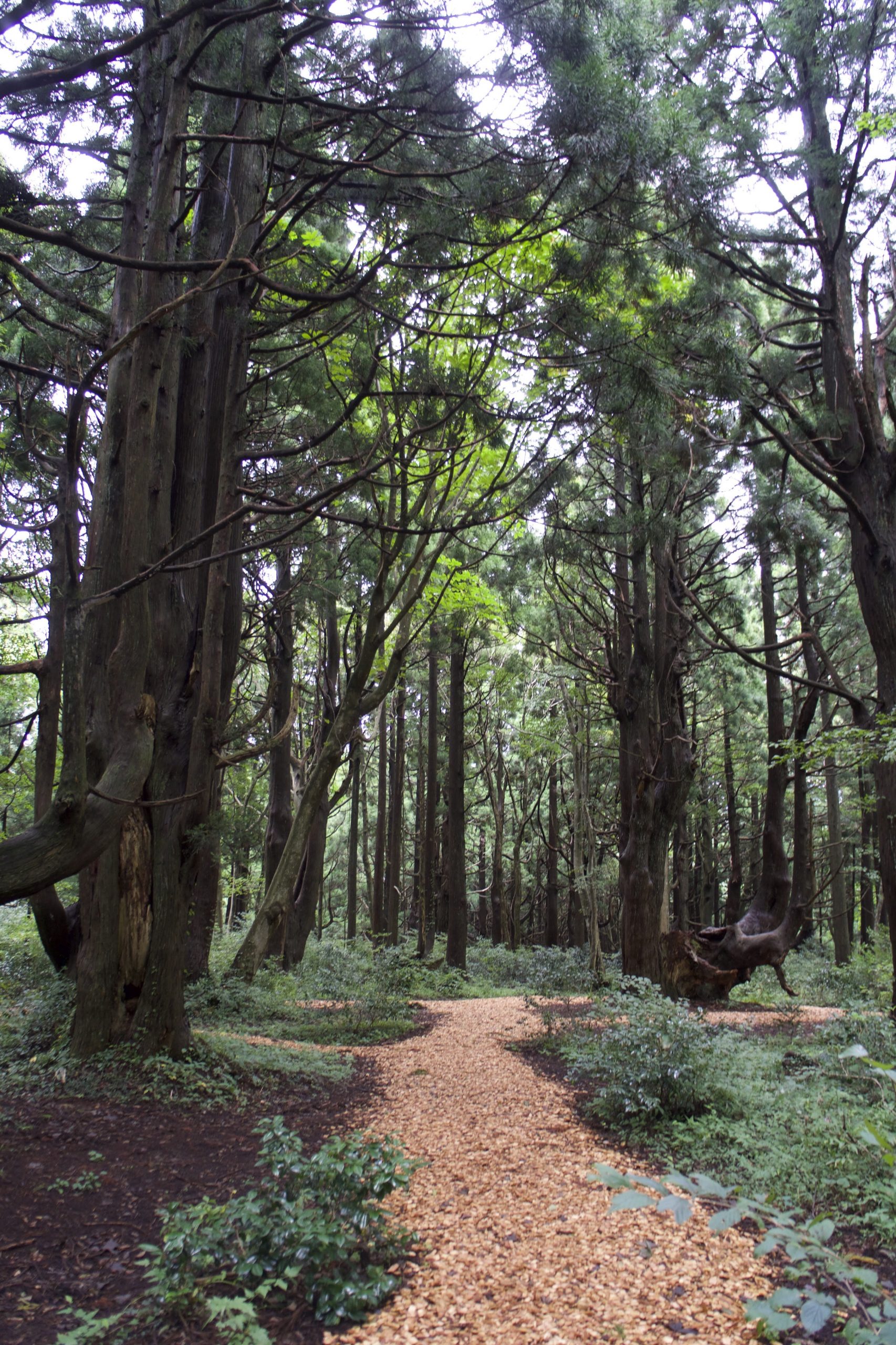 The one constant - Tim Bunting