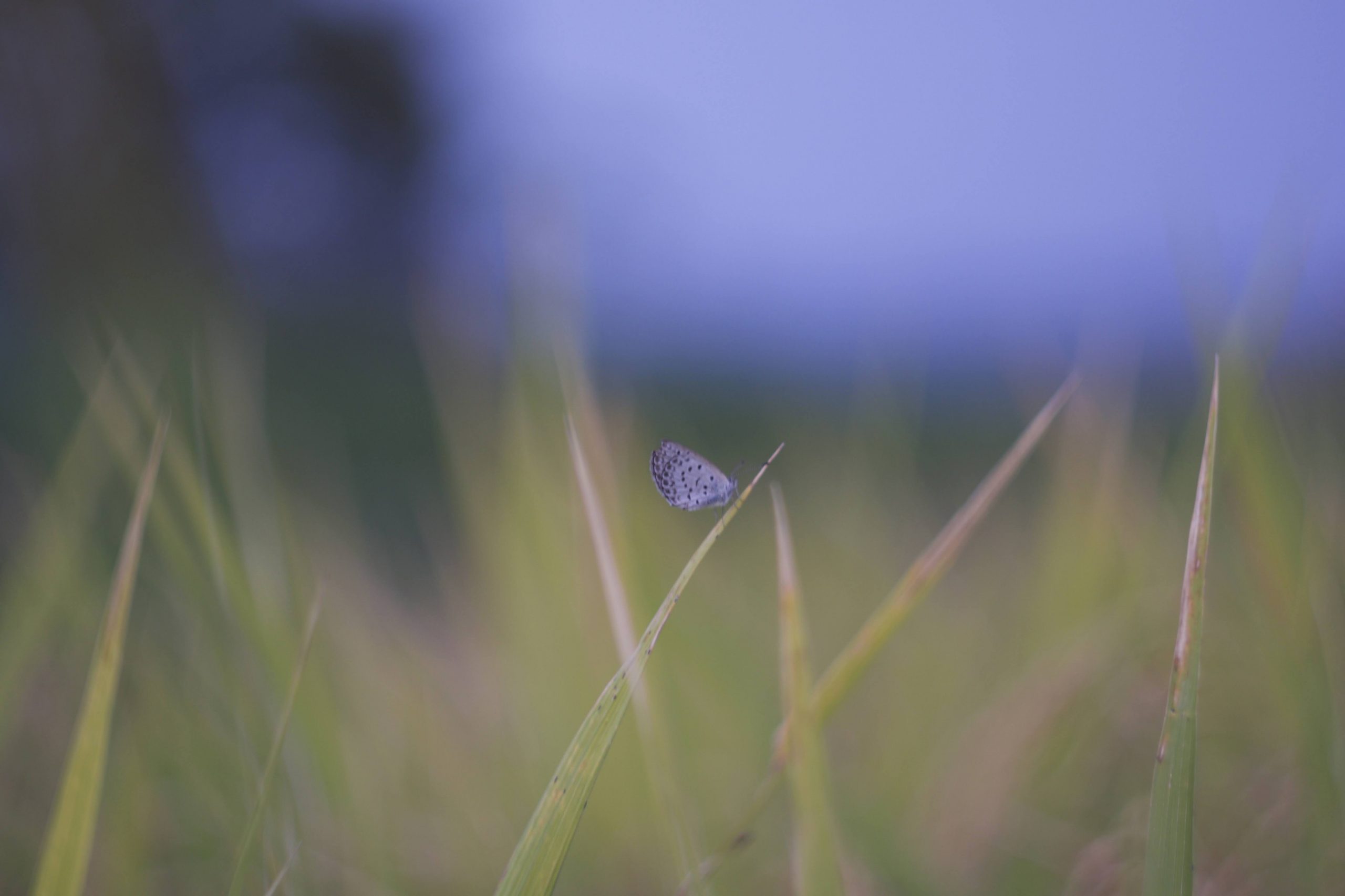 Fall in love with the product of the learning - Tim Bunting