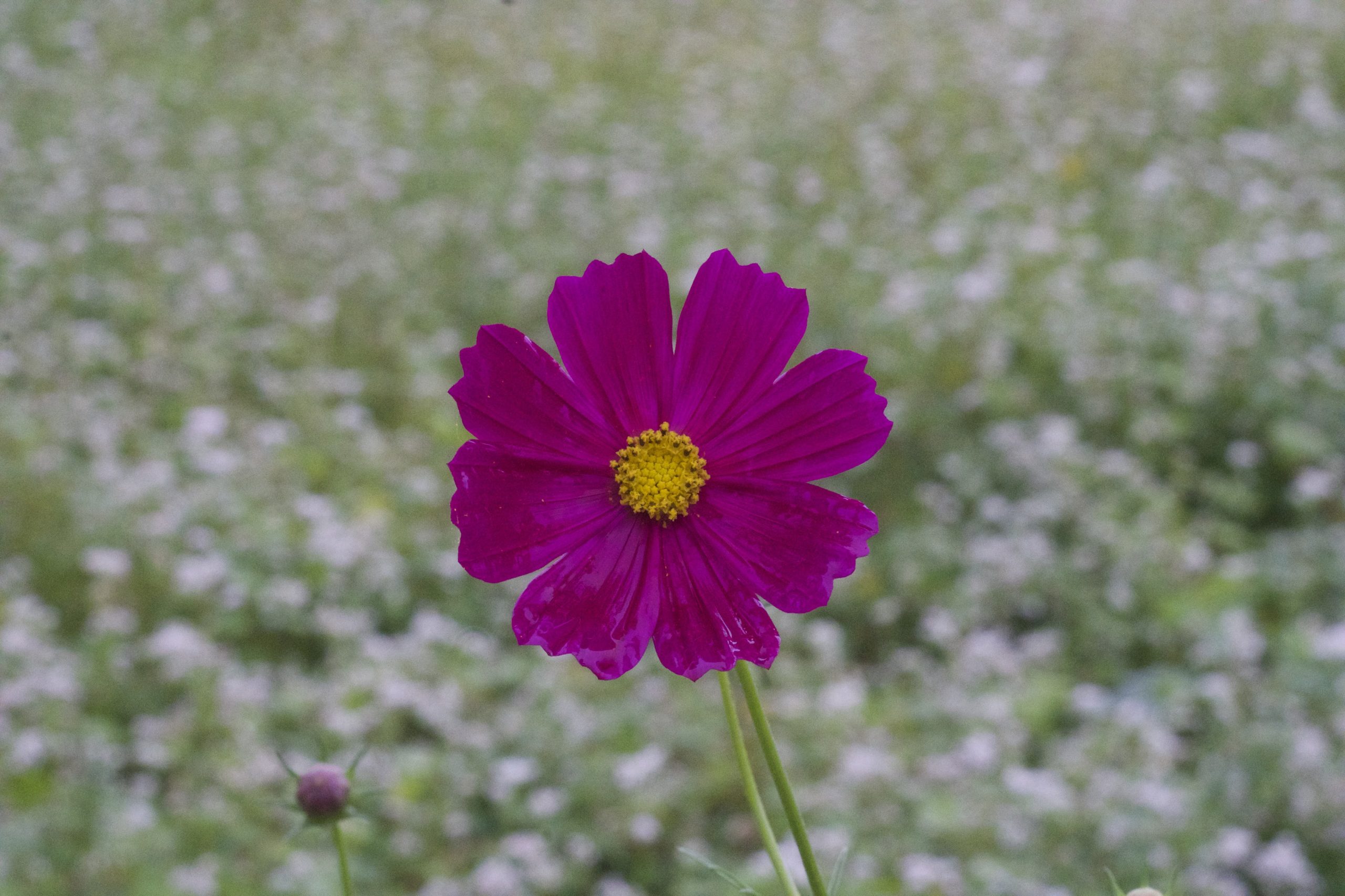 The not for you list - Tim Bunting