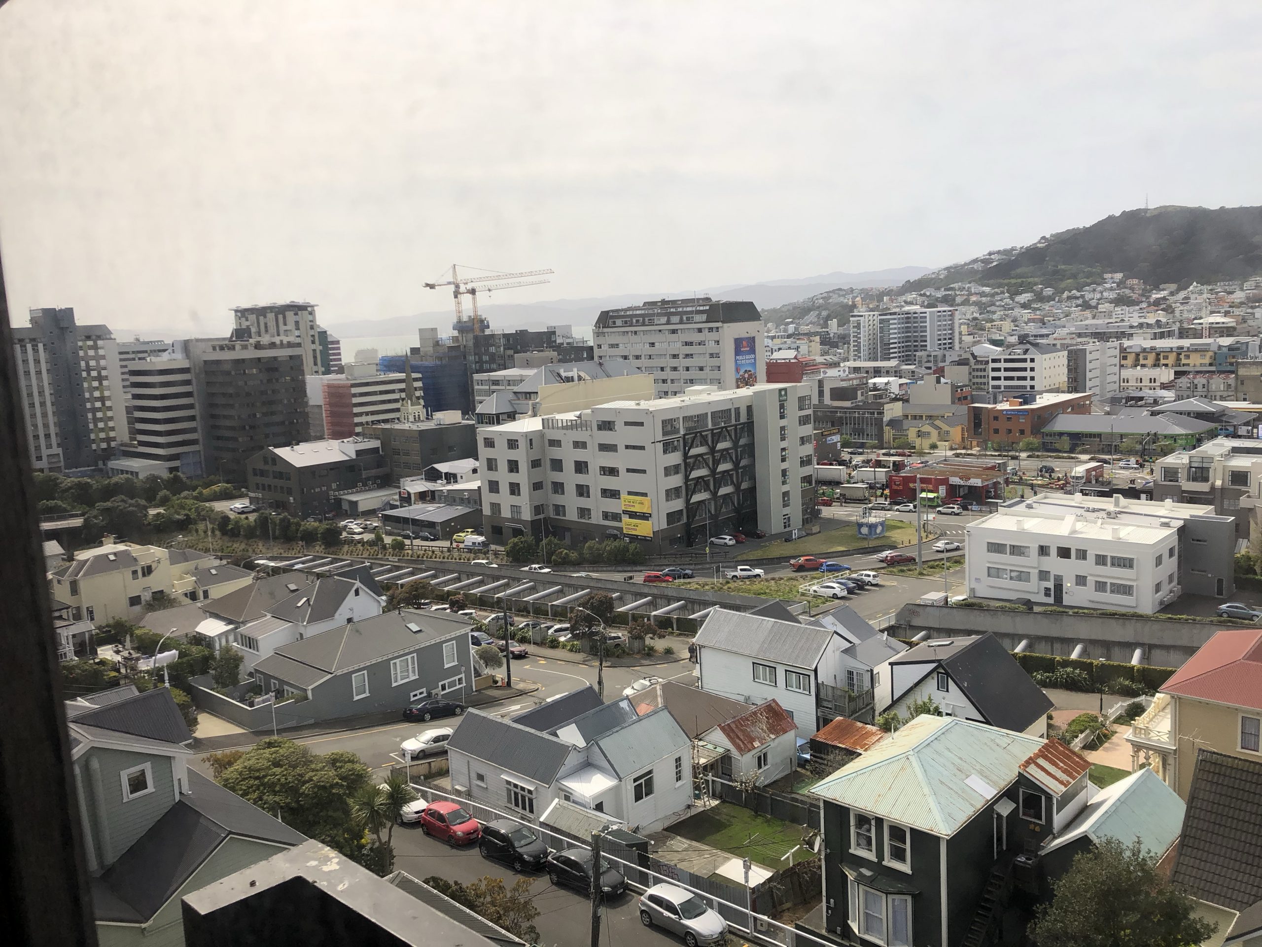 I Never Thought I’d See This in Aotearoa New Zealand - Tim Bunting