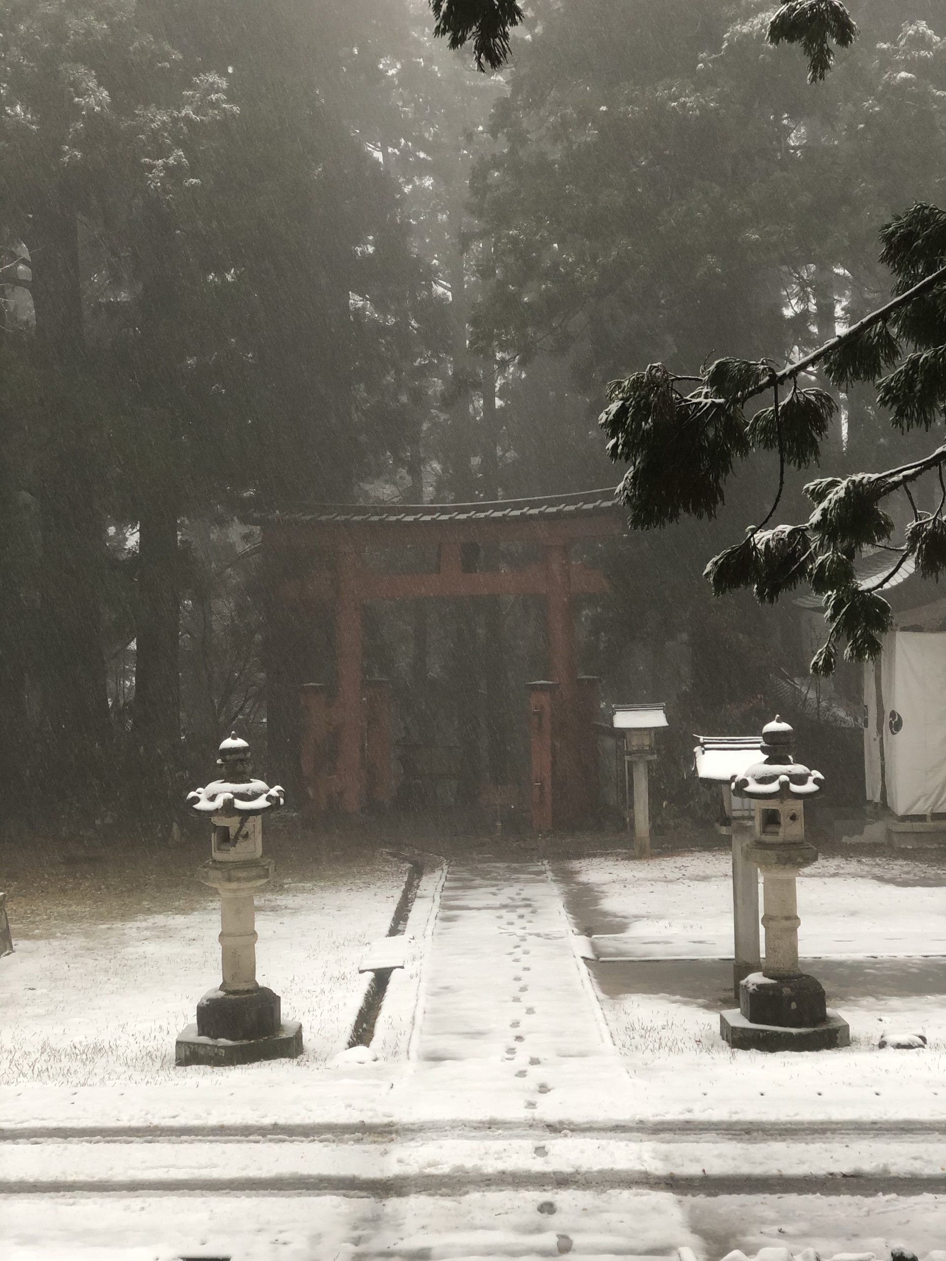 Live and learn - Tim Bunting