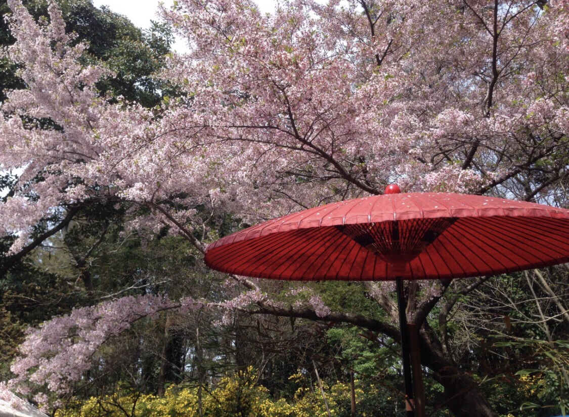 Five years - Tim Bunting