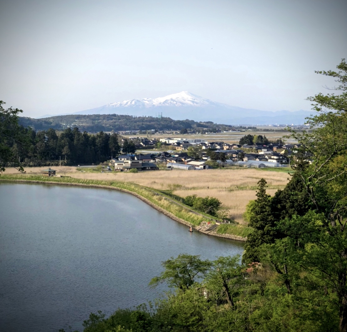 A life well lived - Tim Bunting