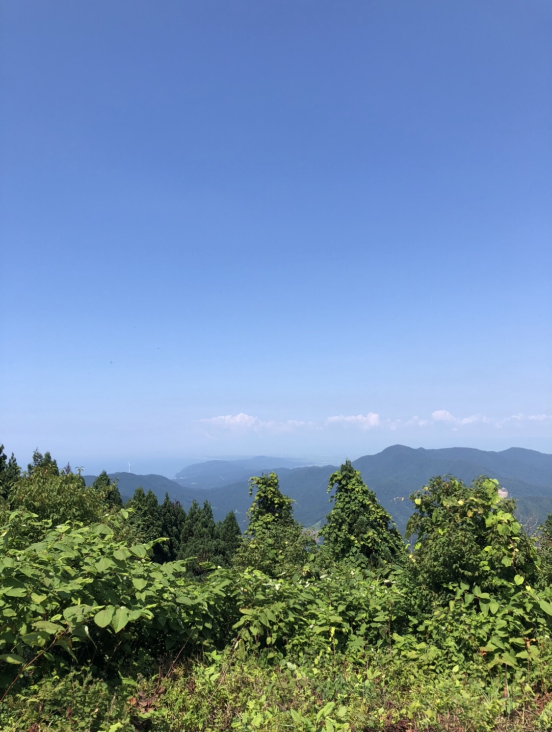 Take it as it comes - Tim Bunting