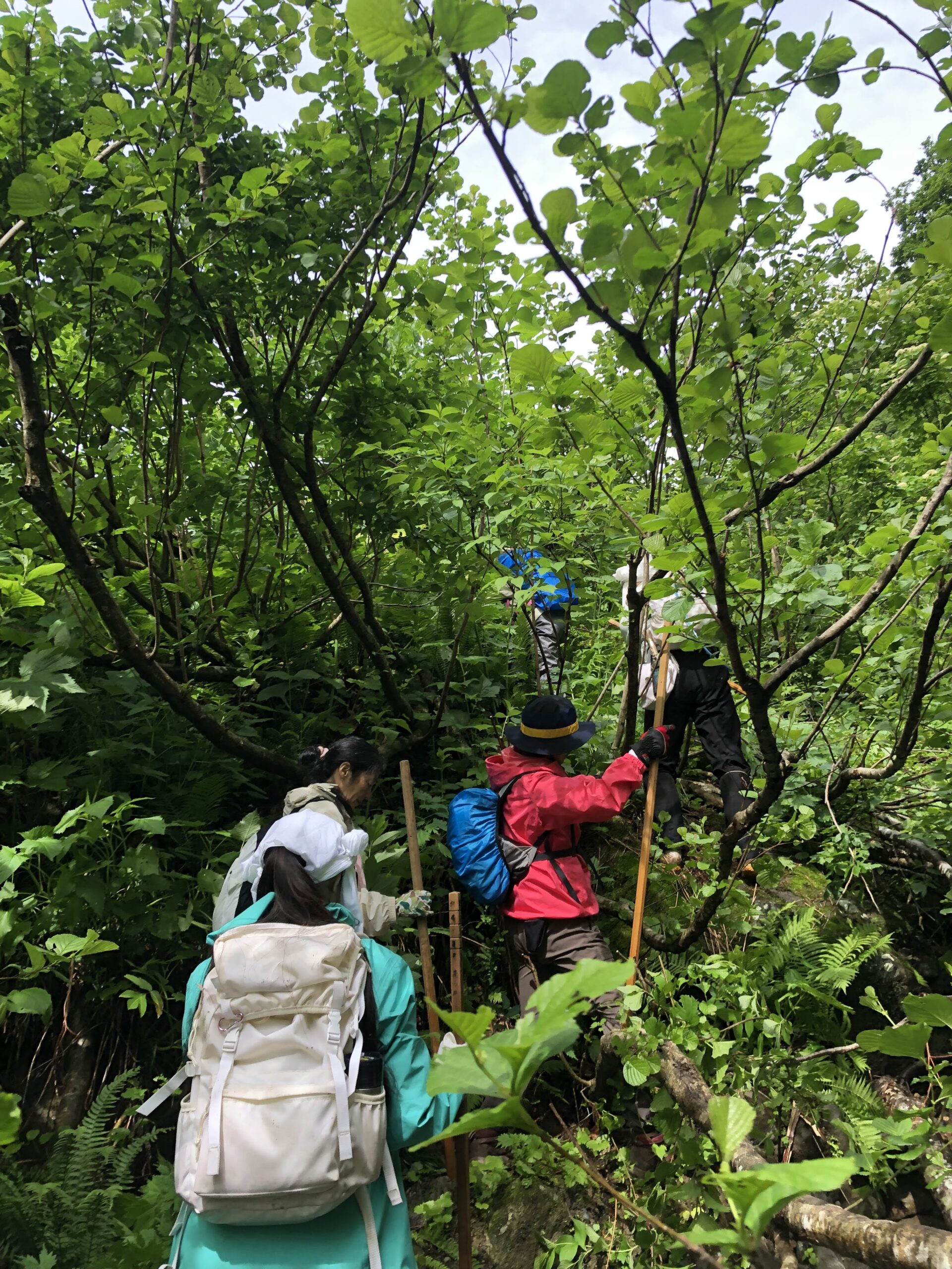 Try it before you buy it - Tim Bunting