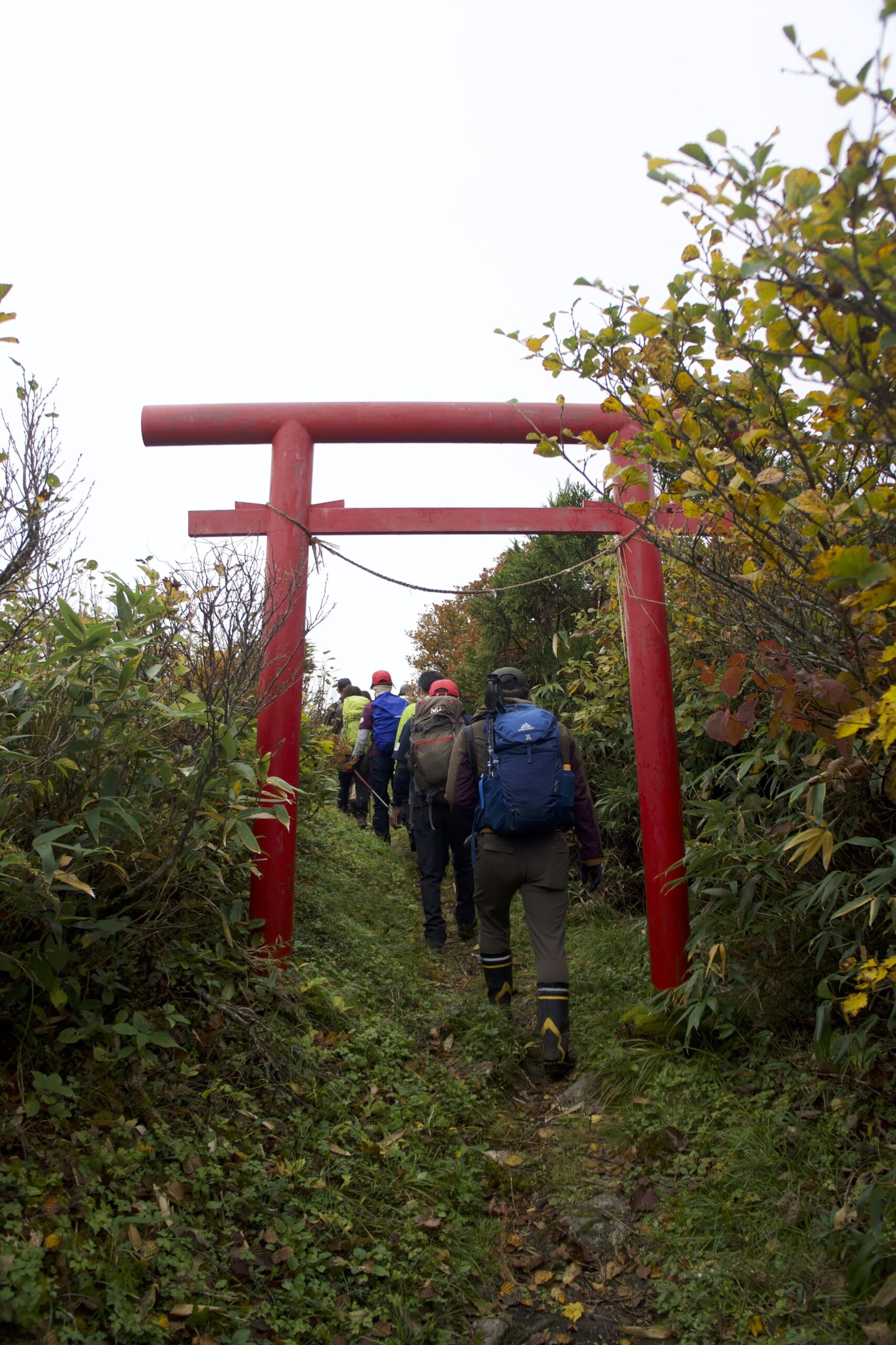 Build Stick-to-itiveness With This Ancient Japanese Philosophy - Tim ...